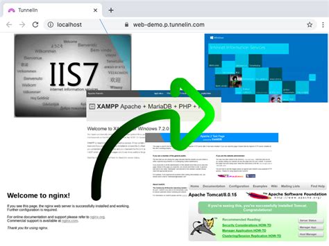 Public Url To Securely Expose Local Web Server Tunnel In