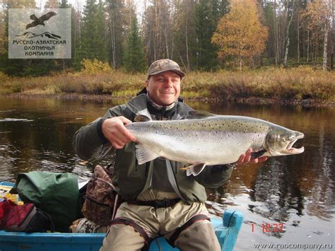 Русско-Азиатская охотничья компания :: Рыбалка на семгу в Архангельской ...