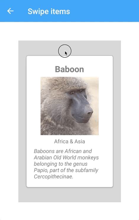 Bug IOS Android SwipeItems Selection On CarouselView Incorrect