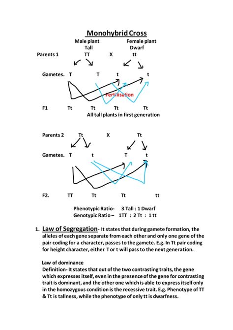 Introduction To Heredity Class X Docx