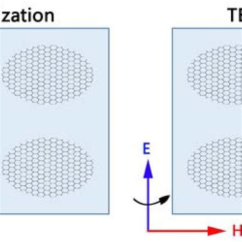 Tm And Te Polarization Schematic Diagram Download Scientific Diagram