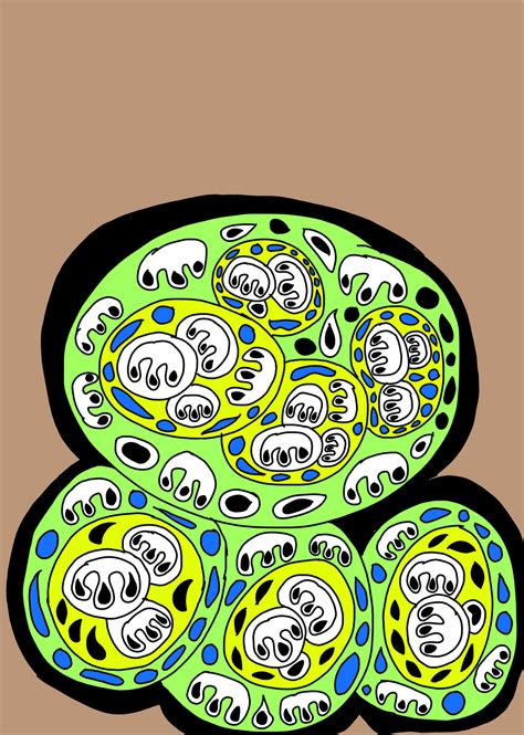 Microbiological Waste By Abstractcuriousmind On Deviantart