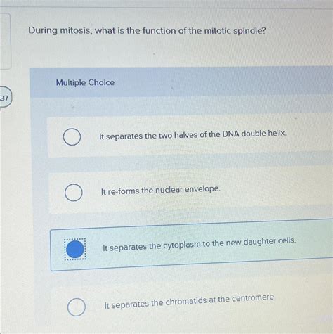 Solved During Mitosis What Is The Function Of The Mitotic