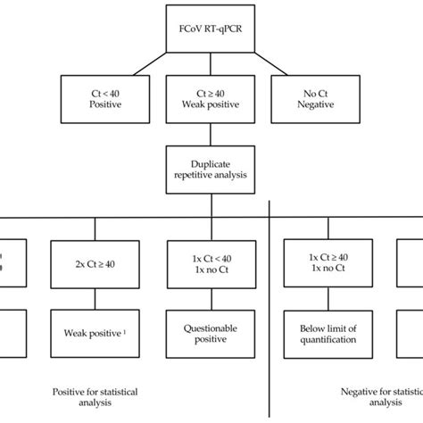 Interpretation Of Results Of The Reverse Transcriptase Quantitative Download Scientific Diagram