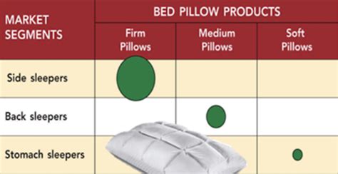 Chapter 9 Market Segmentation Targeting And Positioning Flashcards Quizlet
