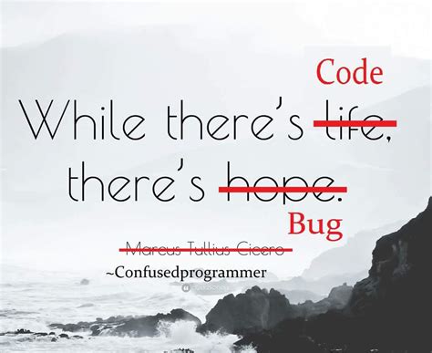 Programmer Quotes Rprogrammerhumor