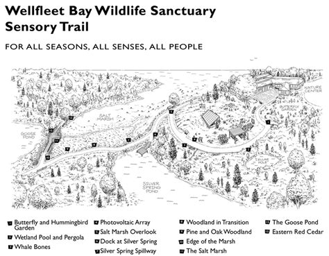 Trails In Wellfleet Massachusetts