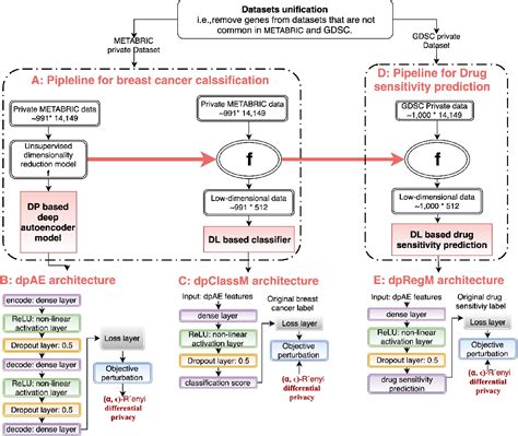 figure 1 from differential private deep learning models for analyzing breast cancer omics data