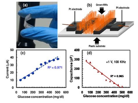A The Fabricated Flexible Glucose Sensor B Schematic Download Scientific Diagram