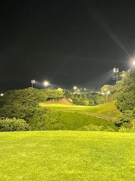 캐슬파인 Cc 3부 노캐디 라운딩 조명 밝고 시원한 야간 추천 네이버 블로그