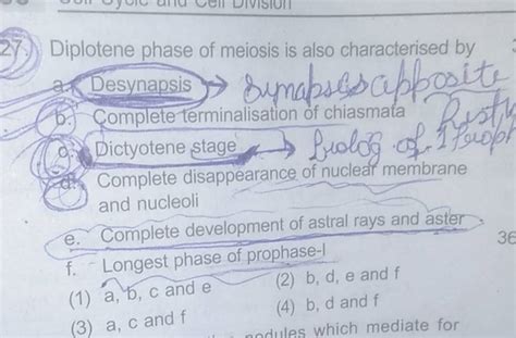 Diplotene Phase Of Meiosis Is Also Characterised By Desynapsis B Complet