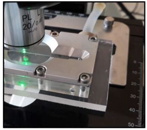 Microfluidic Portable Device For Pathogens Rapid Sers Detection