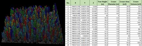 Drone Lidar Untuk Analisis Jalur Irigasi And Tree Counting Kebun Sawit Halo Robotics