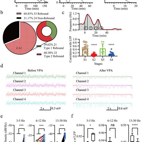 The Neuronal Activity Exhibited Rebound Excitation After Vpa