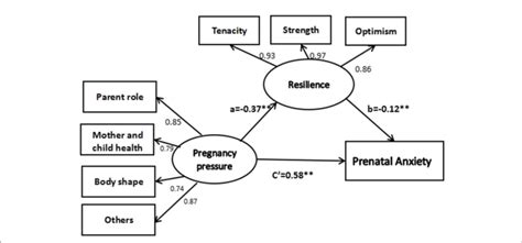Figure The Mediating Eeect Path Diagram Showing The Mediating Variable