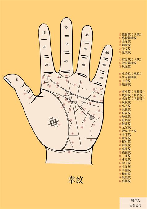 掌纹图 天玉宫