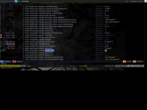 Lsp Not Working In Cargo Check R · Issue 14315 · Rust Langrust Analyzer · Github