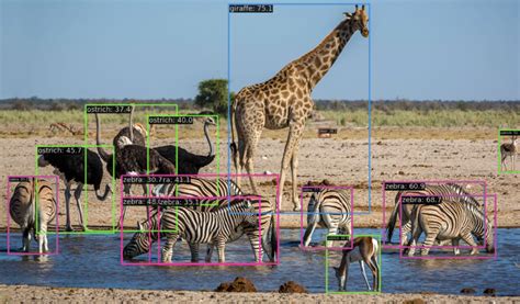 【开放词汇检测】基于mmdetection的mm Grounding Dino实战