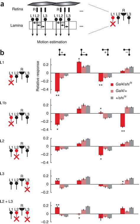 Detection Of Triple Correlations Associated With Specific Pathways In Download Scientific