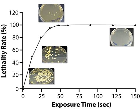 Microbial Strain Development Engineering Services Esco Aster