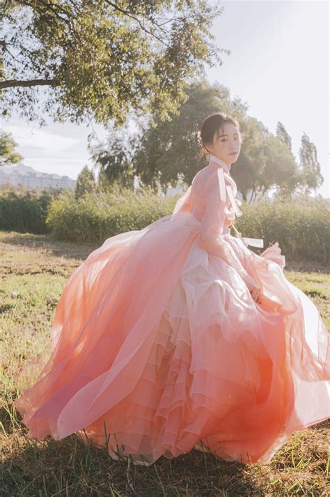 Diane 다이앤 On Twitter 동화 드레스 한국 드레스 전통 드레스