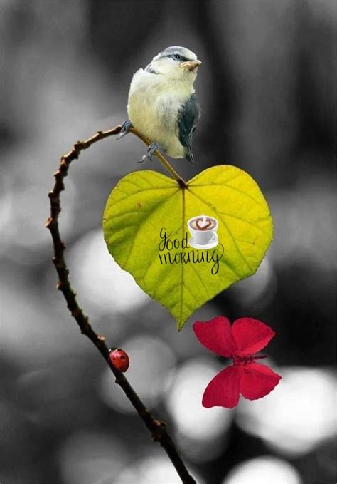 Pin By Kk Nair On Kk Nair Glossy Art Fancy