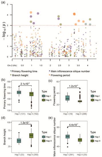 Ijms Free Full Text Genome Wide Identification And Analysis Of