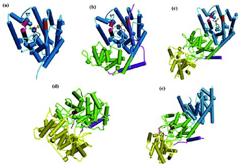 Schematic Representation Of The General Structure Of Different Terpene Download Scientific