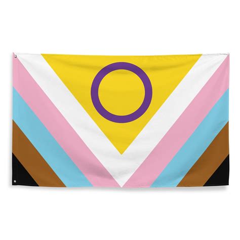Progress Pride Chevron Flag 3x5 Lgbt Rainbow Intersex Banner Etsy