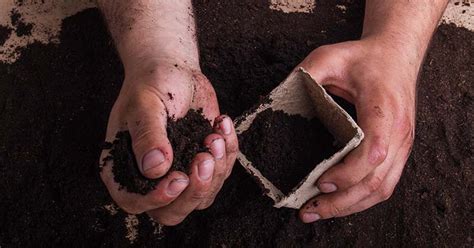 Accelerated Composting Efficient Soil Enrichment