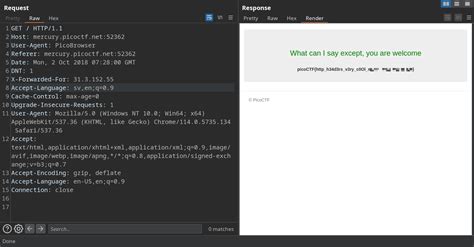 Mastering Picoctf Web Exploits Walkthrough And Blackhat Ctf Prep The Cyber Bolg
