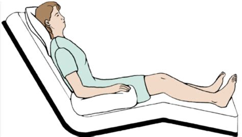 Basics Final Exam Flashcards Quizlet