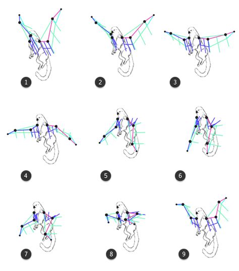 Create A Flight Animation From Scratch In Adobe Photoshop Blog Tutorial