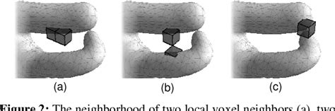 Figure 1 From An Extended Concept Of Voxel Neighborhoods For Correct Thinning In Mesh