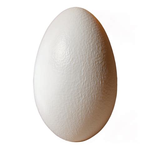 Download Egg Shell Png 05042024