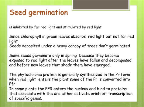 Phytochrome Structure And Function By Nour Deeb Pptx