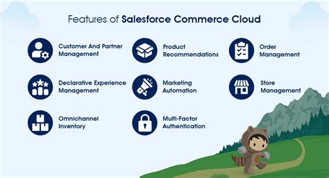 Salesforce B2b2c Commerce To Grow Your E Commerce Business