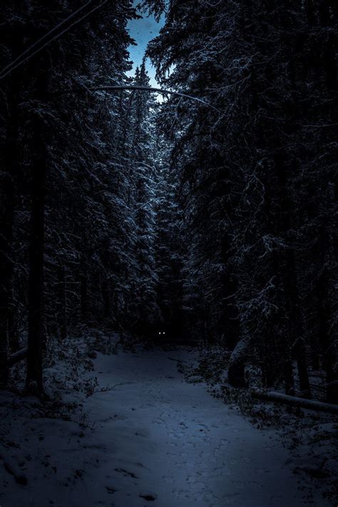 Dark Forest 4k Mobile Wallpapers Wallpaper Cave