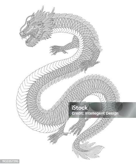 중국 용 벡터 빈티지 조각 드로잉 스타일 일러스트 레이 션 갈고리 발톱에 대한 스톡 벡터 아트 및 기타 이미지 갈고리 발톱 개념 개념과 주제 Istock