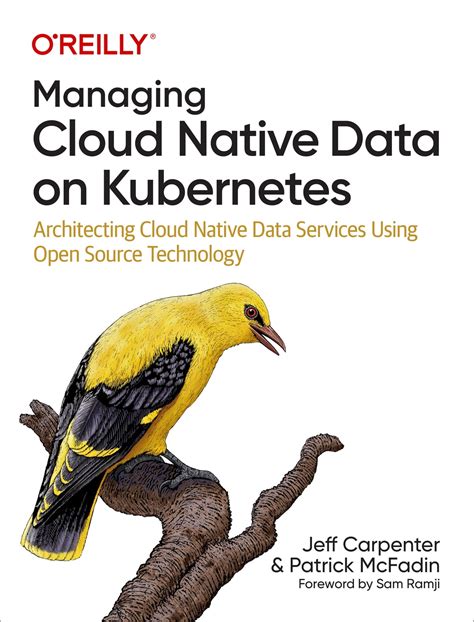 Managing Cloud Native Data On Kubernetes Ebook By Jeff Carpenter Epub