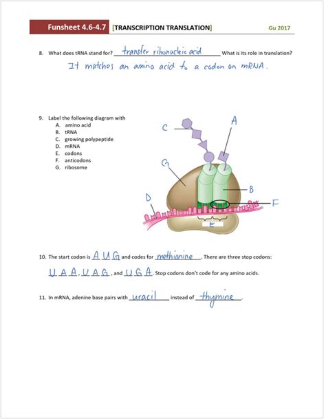 Unit 4 Genetics Welcome To Science