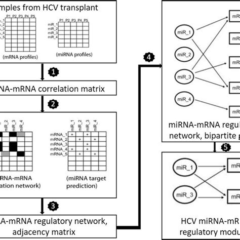 Method Based On Graph Theoretical Approach Download Scientific Diagram