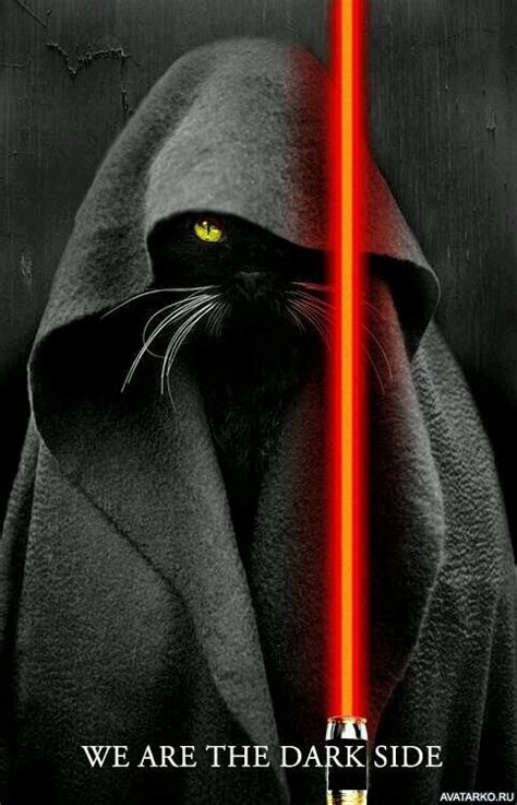 Создать мем кот в капюшоне кошка джедай кот джедай арт Картинки Meme