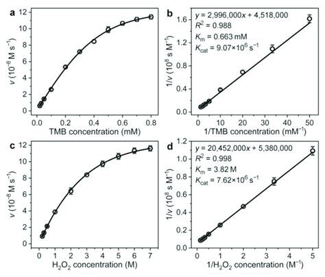 Steady State Kinetic Analysis Of The Peroxidase Like Catalytic Activity