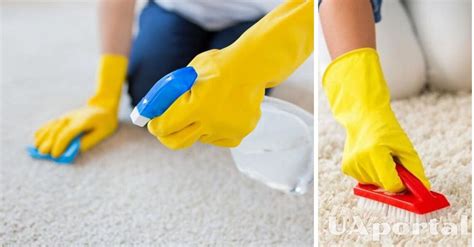 Як вивести плями з килима 6 лайфхаків з милом оцтом содою піною для гоління та праскою