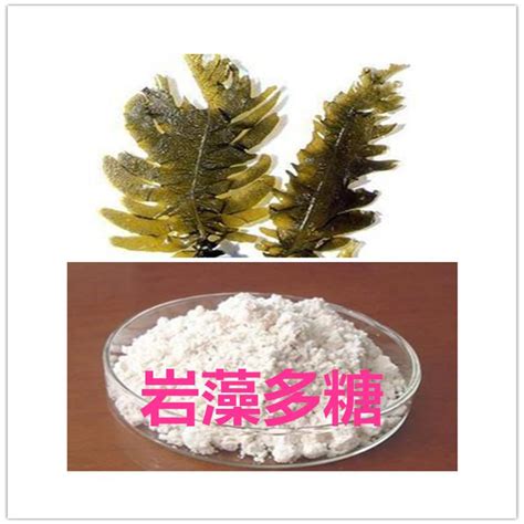 岩藻多糖的作用与功效 岩藻多糖营养素的作用 岩藻多糖营养素 大山谷图库
