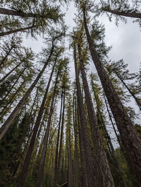 Pin Van Витя Op Seen It