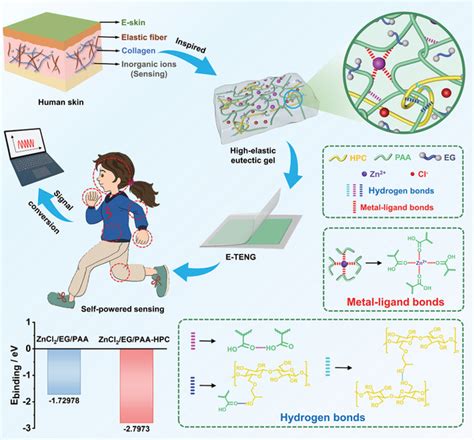 The Design Concept And Schematic Illustration Of The Chemical Structure Download Scientific