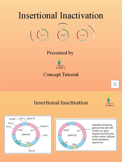 5 Insertional Inactivation Pdf