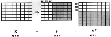 Pca Decomposition Of Matrix X Into Matrices S And V T Download